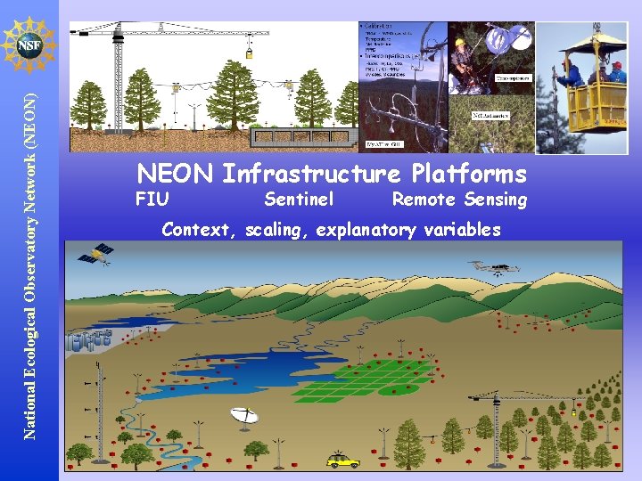 NEON National Ecological Observatory Network Dr Elizabeth Blood