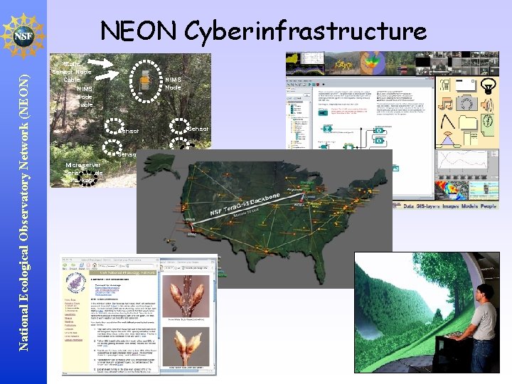 NEON National Ecological Observatory Network Dr Elizabeth Blood