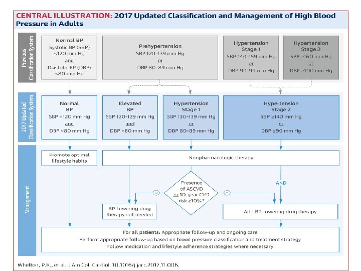 ARTERIAL BLOOD PRESSURE MEASUREMENT ECG taking AP measurement