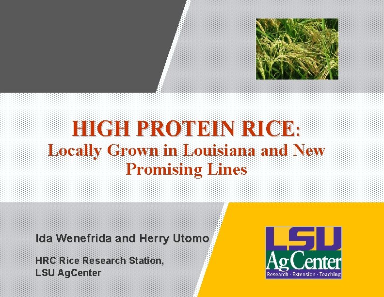 HIGH PROTEIN RICE Locally Grown in Louisiana and