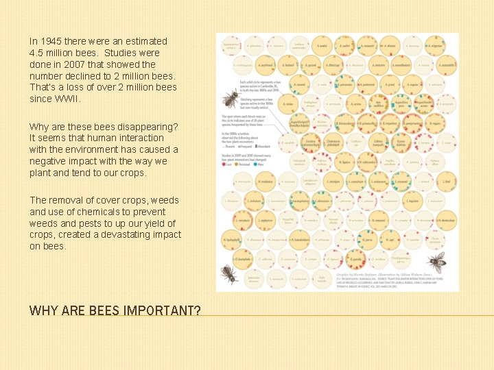 Bees are in a rapid decline and if