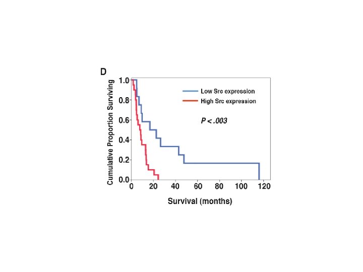 Early Phase Combination Studies and Working with Industry