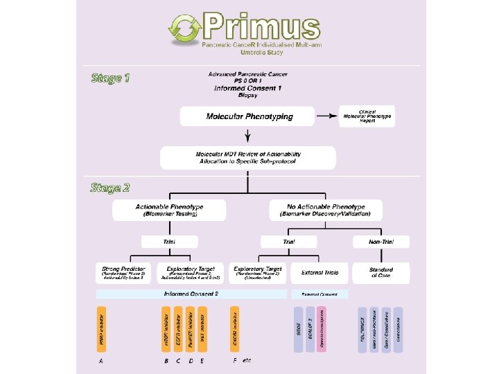 Early Phase Combination Studies and Working with Industry