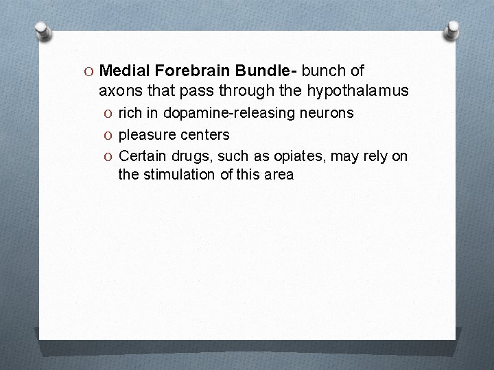The Nervous System Brain and Endocrine System The