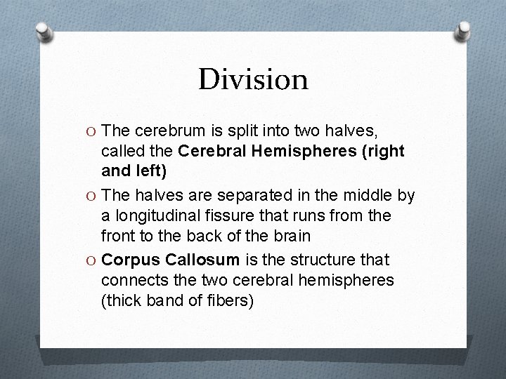 The Nervous System Brain and Endocrine System The