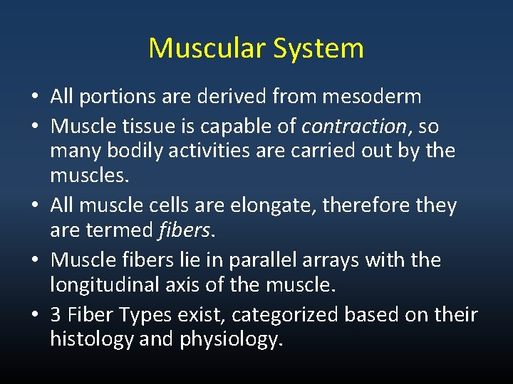 Muscular System All portions are derived from mesoderm