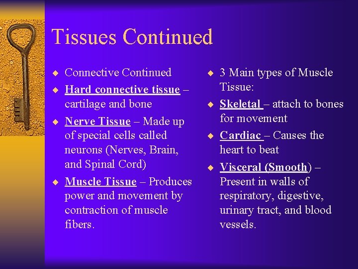 6 1 Introduction to Basic Structure of the