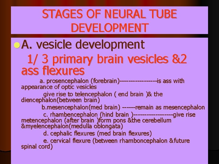 Embryology of the nervous system ass prof dr