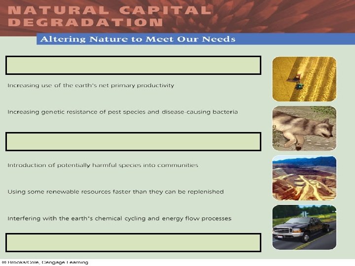 Our numbers expand but Earths natural systems do
