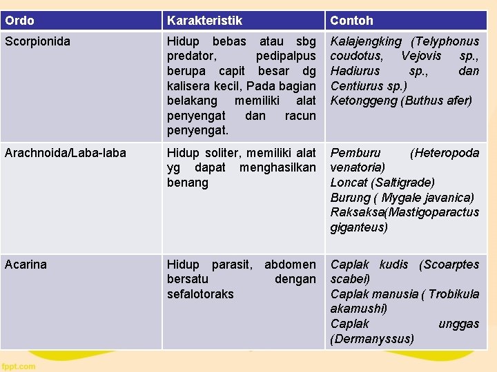 Kingdom Animalia ANIMALIA 1 Organisme Eukariot Multiseluler 2