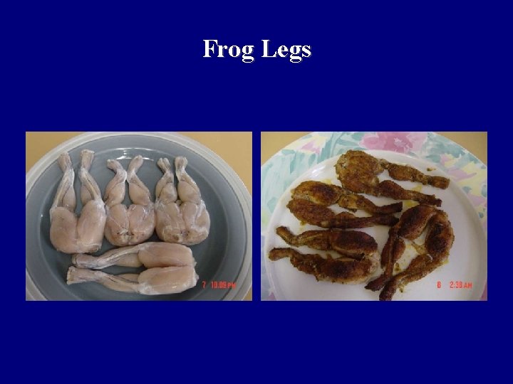 Paragonimus spp Paragonimus westermani Definitive Hosts Paragonimus ...