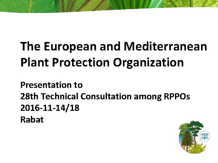 The European and Mediterranean Plant Protection Organization Presentation