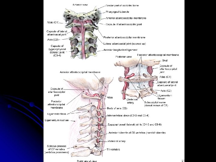 Rehabilitation of Neck Pain and Myofascial Pain Syndrome