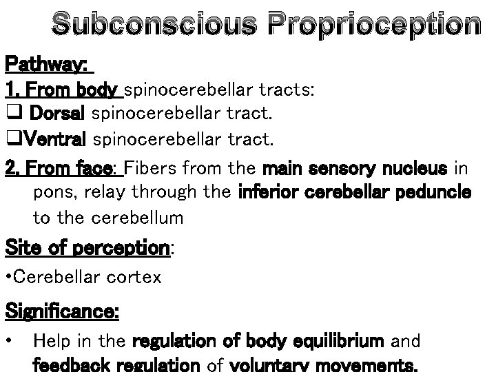 Physiology of CNS Sensory System By Dr Abdel