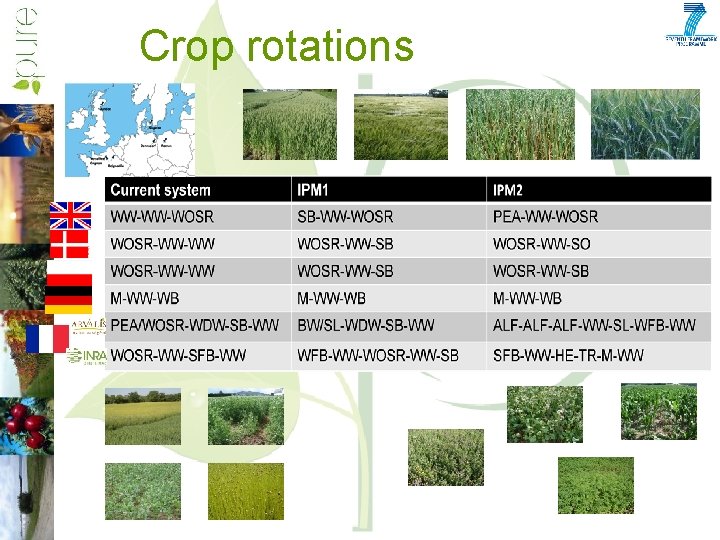 Results and lessons learnt from wheatbased cropping system