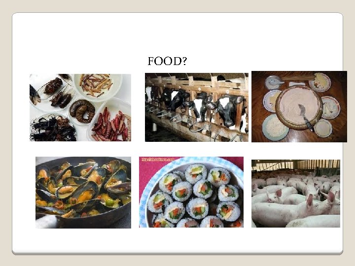 Cultural Anthropology Ethnocentrism and Cultural Relativism Questions 1