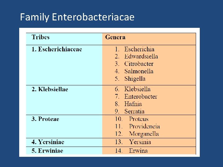 Diagnostic microbiology lecture 1 Enterobacteriaceae Abed El Kader