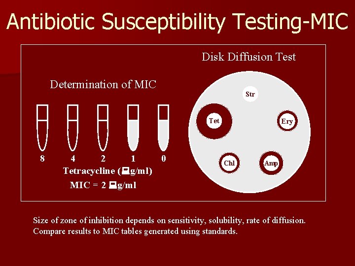 Antibiotics Biotechnology II Antibiotics Disrupt Cell Wall Synthesis