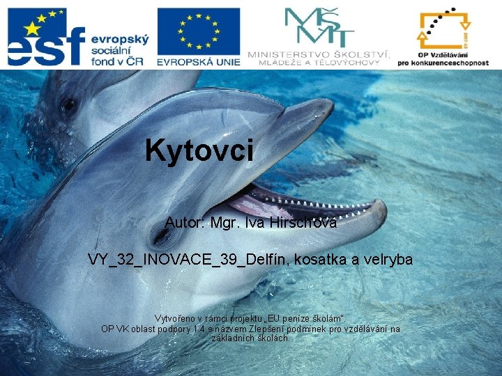 Kytovci Autor Mgr Iva Hirschov VY32INOVACE39Delfn kosatka a