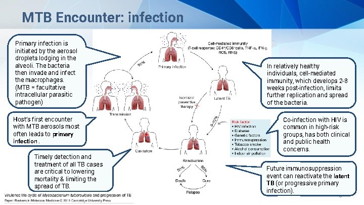 Bacterial Pathogenesis of Pulmonary Infection PATH 417 A