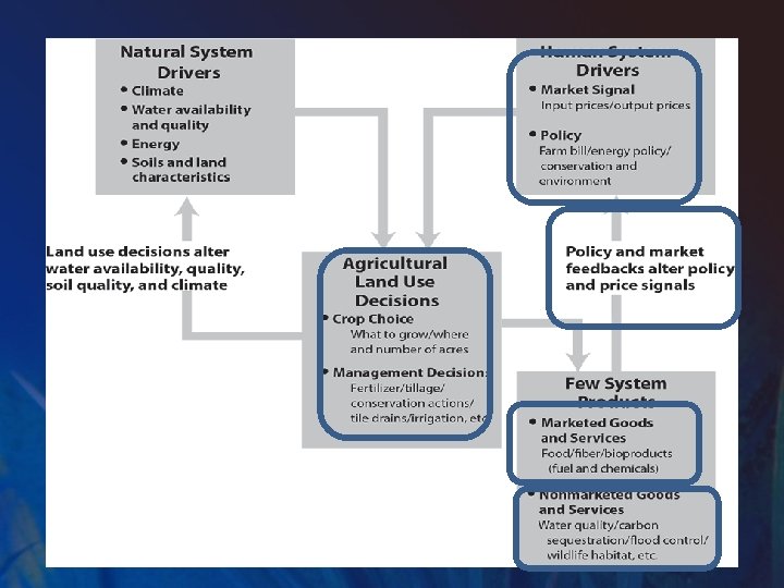 Linking Land use Biophysical and Economic Models for