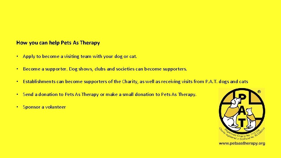 What is Pets As Therapy Began in 1983