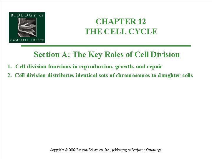 CHAPTER 12 THE CELL CYCLE Section A The