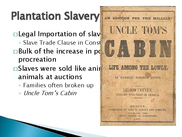 Chapter 16 King Cotton Much like tobacco of