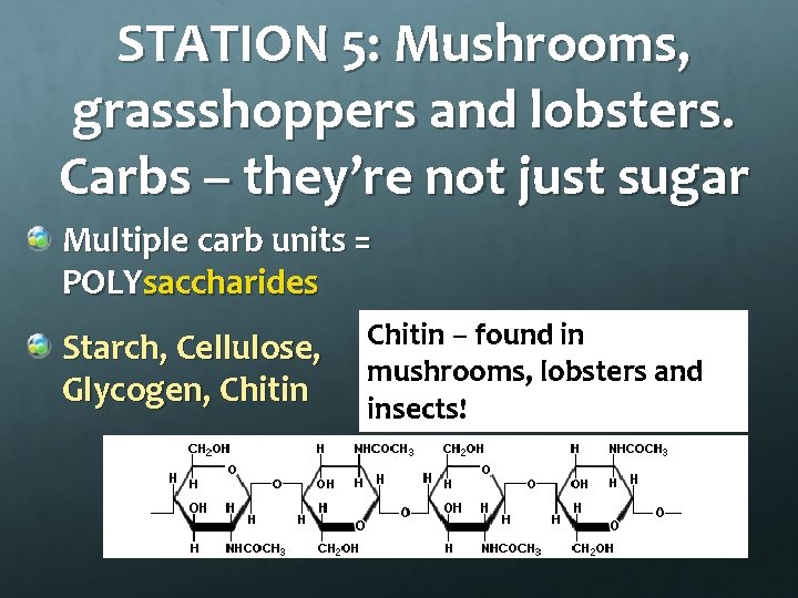 CARBOHYDRATES L 3 Biology Carbs some facts Examples