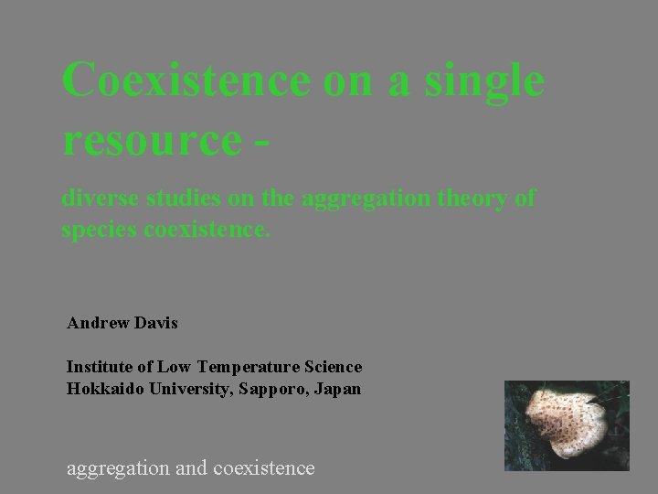 Coexistence on a single resource diverse studies on