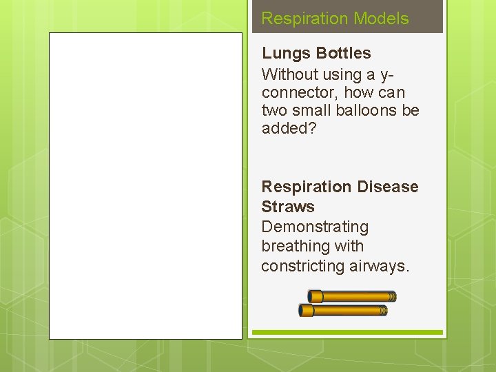 Modeling Activities for Human Body Systems Michelle Varnau