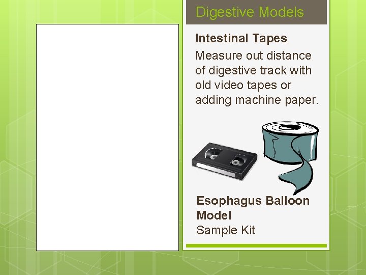 Modeling Activities for Human Body Systems Michelle Varnau