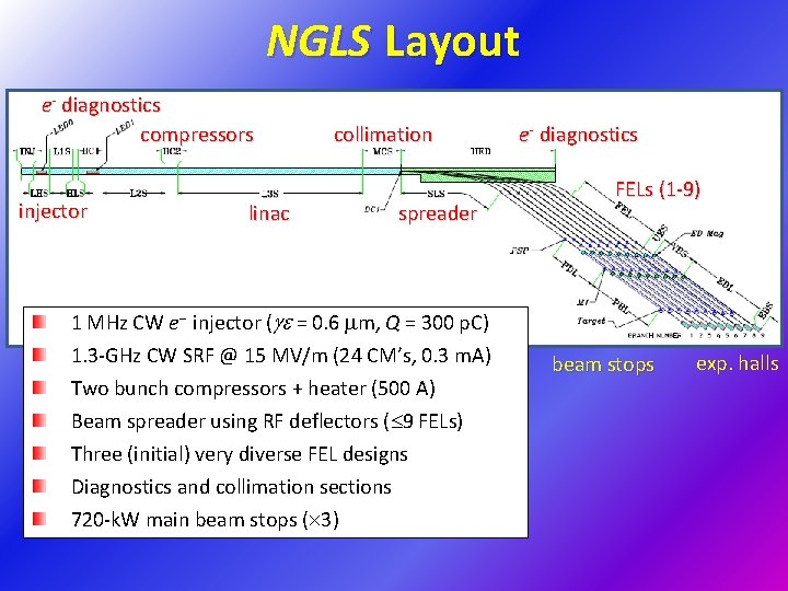 Design Considerations for the NGLS Next Generation Light