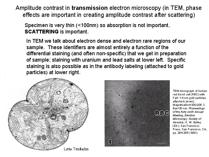 light and matter act as both waves and
