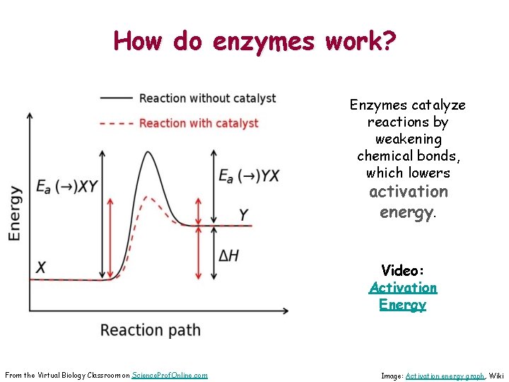About Science Prof Online Power Point Resources Science