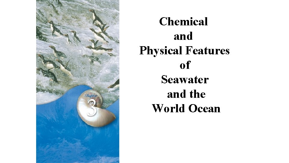 Chemical and Physical Features of Seawater and the