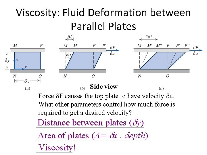 Fluid Properties and Units CE 311 Chapter 1
