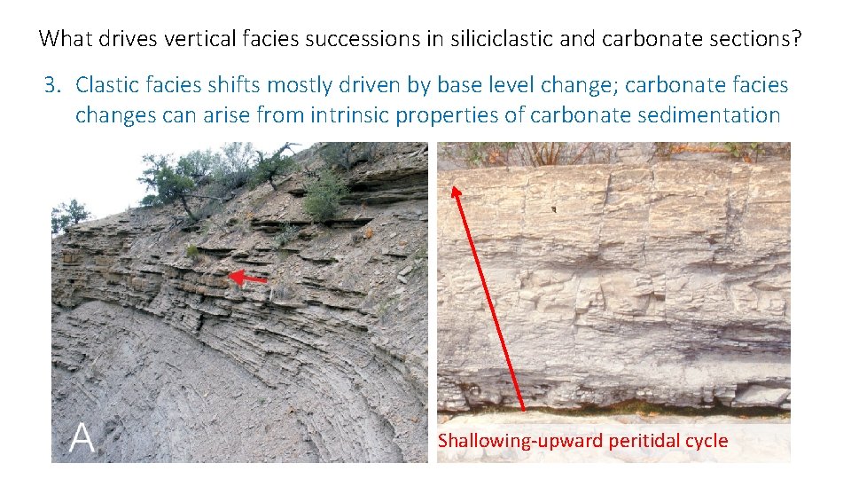 Carbonate Sedimentation Processes The shallow marine carbonate factory