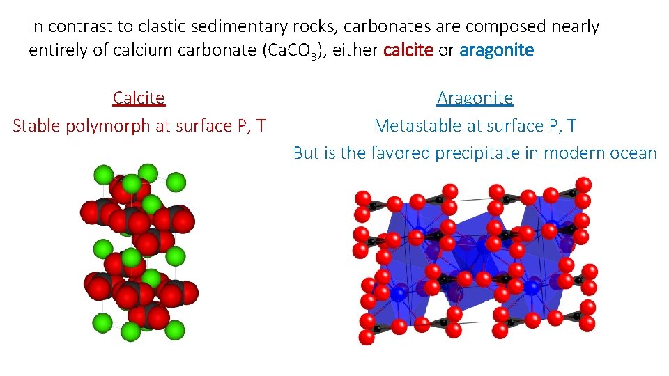 Carbonate Sedimentation Processes The shallow marine carbonate factory