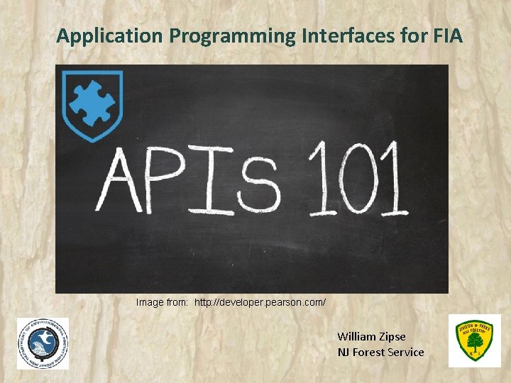 Application Programming Interfaces for FIA Image from http