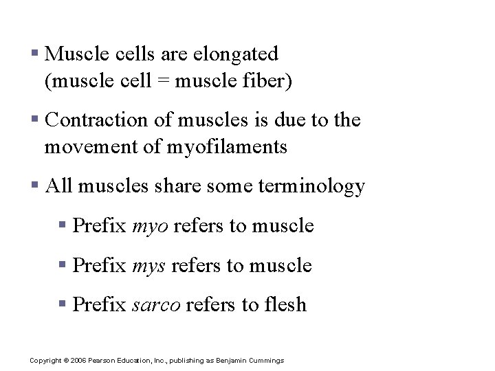 6 The Muscular System PART A Power Point