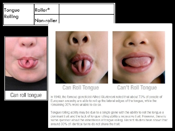 Chapter 4 Modern GENETICS Cells and Heredity Textbook
