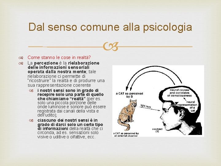 La percezione Dal senso comune alla psicologia Qual