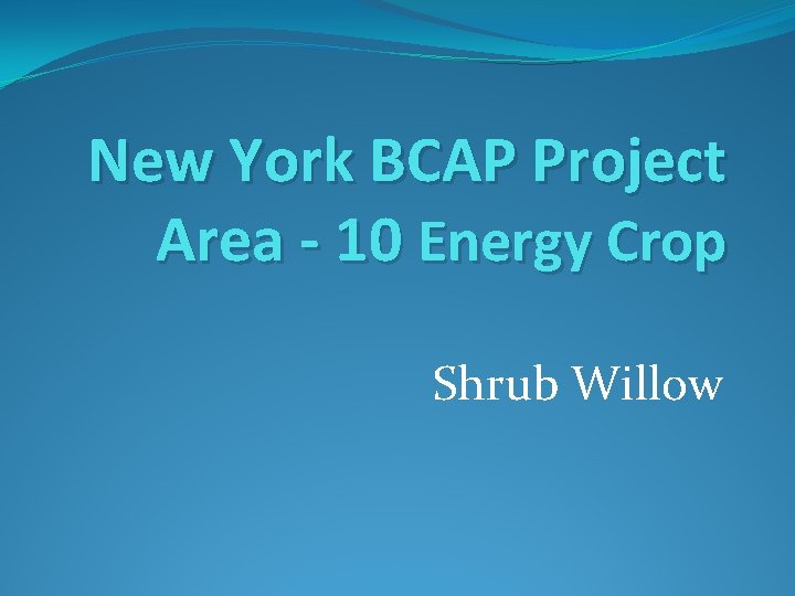 New York BCAP Project Area 10 Producer Workshops