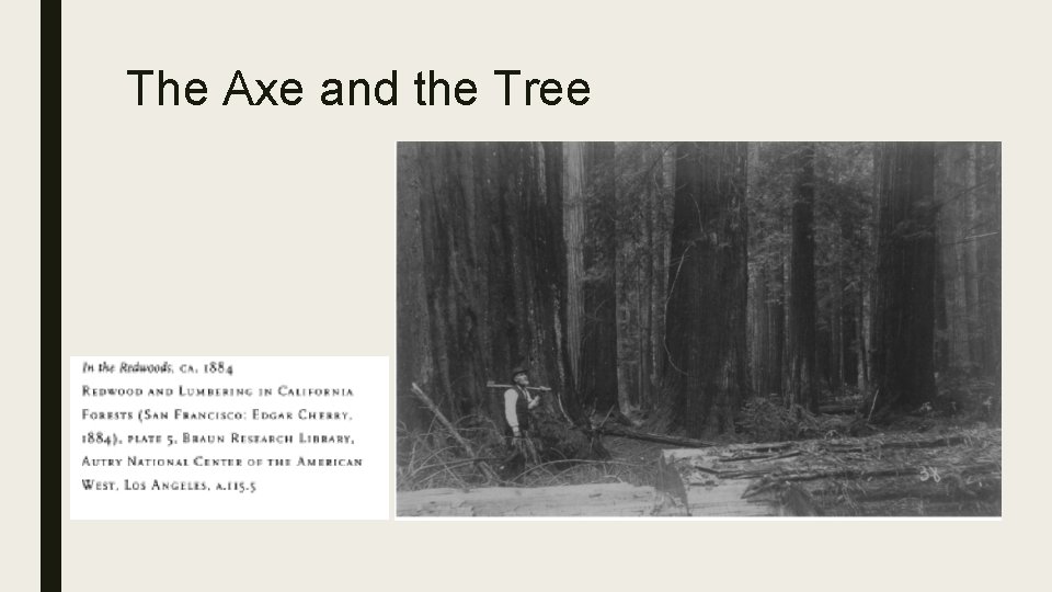 The Axe and the Tree Walt Whitman 1819