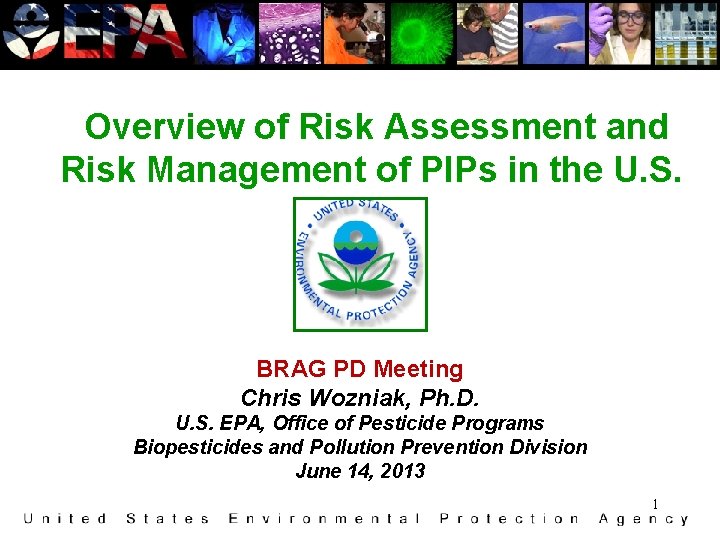 Overview of Risk Assessment and Risk Management of