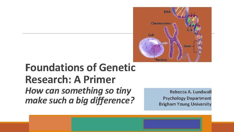 Foundations of Genetic Research A Primer How can