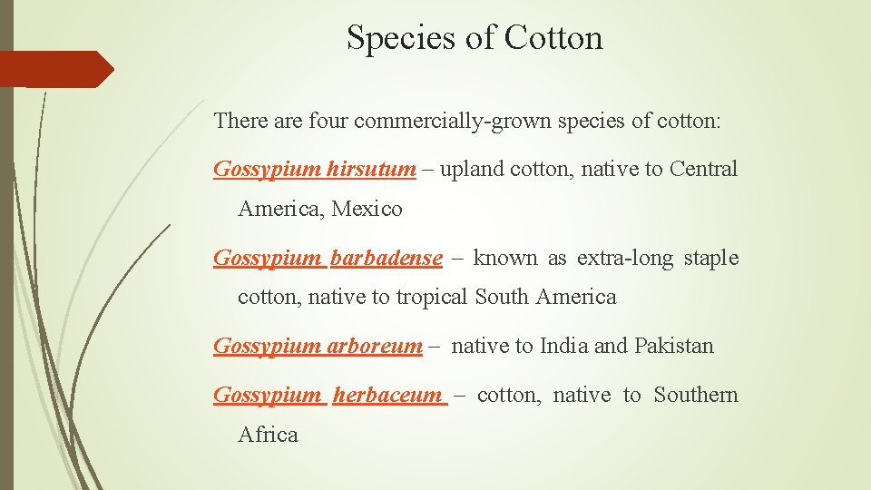 Cotton Fiber Outline 1 Introduction 2 Species and