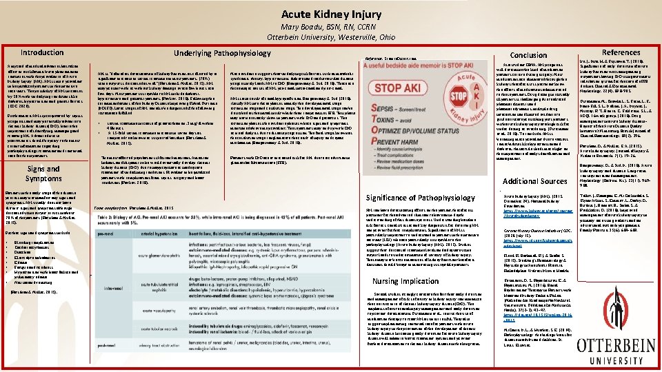 Acute Kidney Injury Mary Boadu BSN RN CCRN