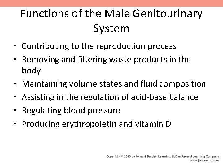 Chapter 12 Male Genitourinary Disorders Functions of the